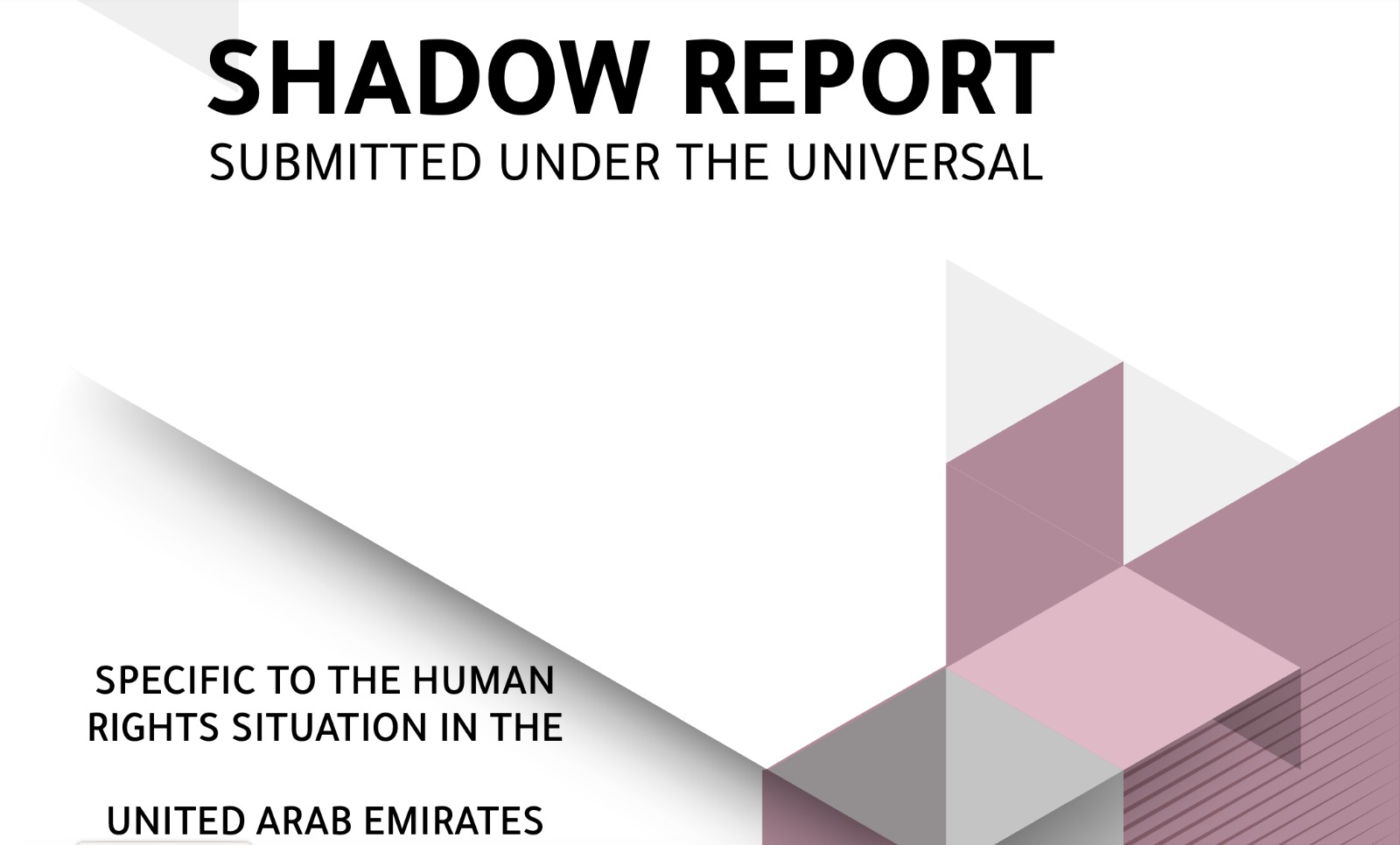 High-Level Panel Discussion on Human Rights in UAE on Feb 21 Experts to ...